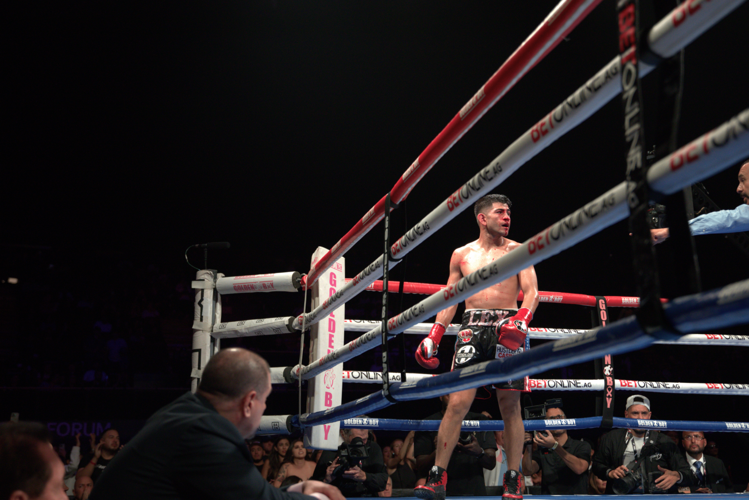 Down But Not Out: Labor Struggles for Professional Boxers in California ...
