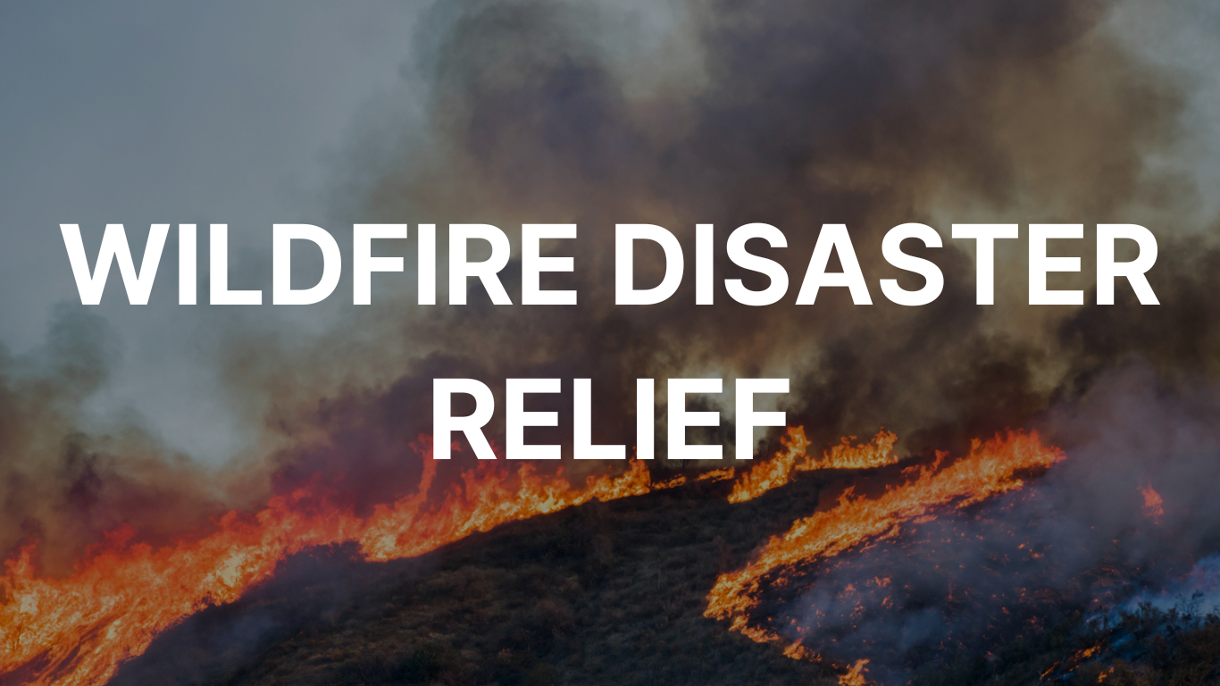 Wildfire Relief Resources from our Partners | Latino Policy & Politics ...