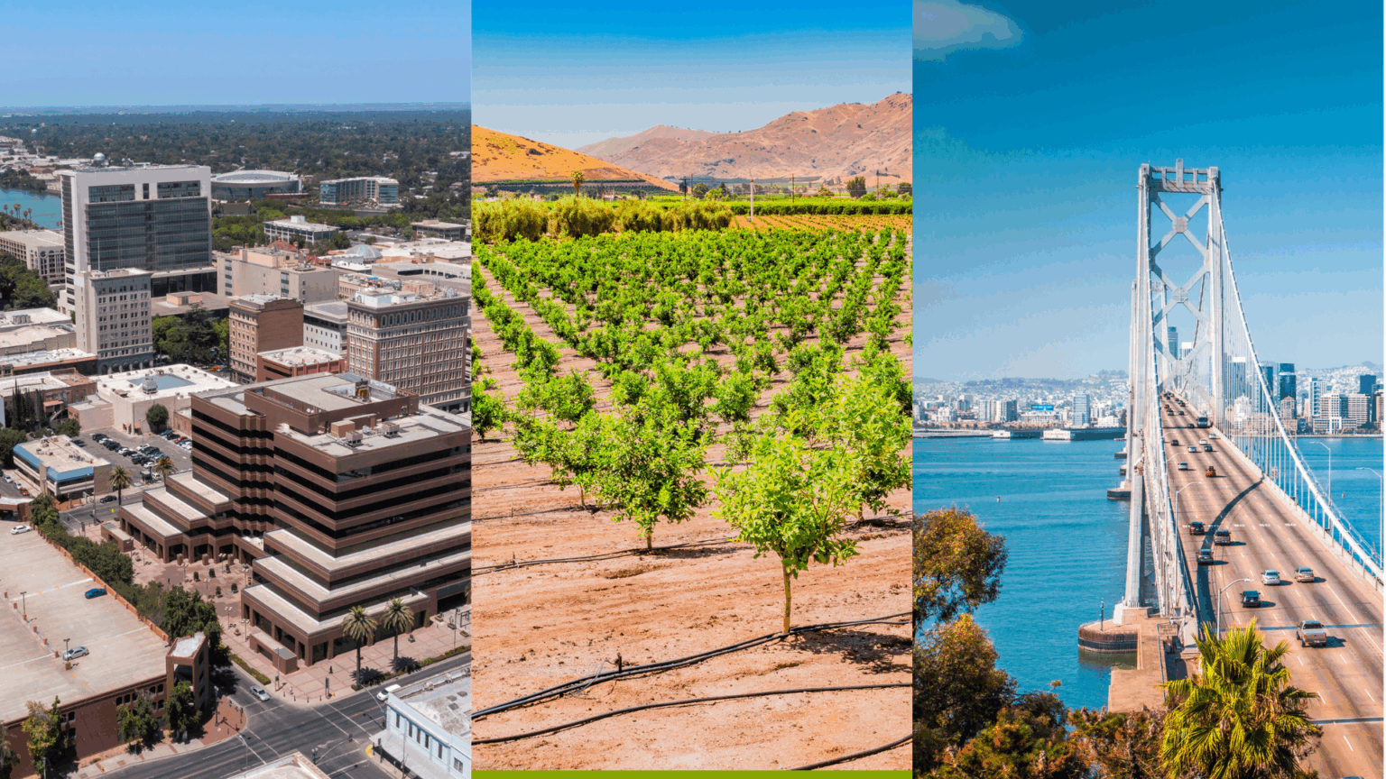 Key Facts About the Latino Workforce Across California | Latino Policy ...